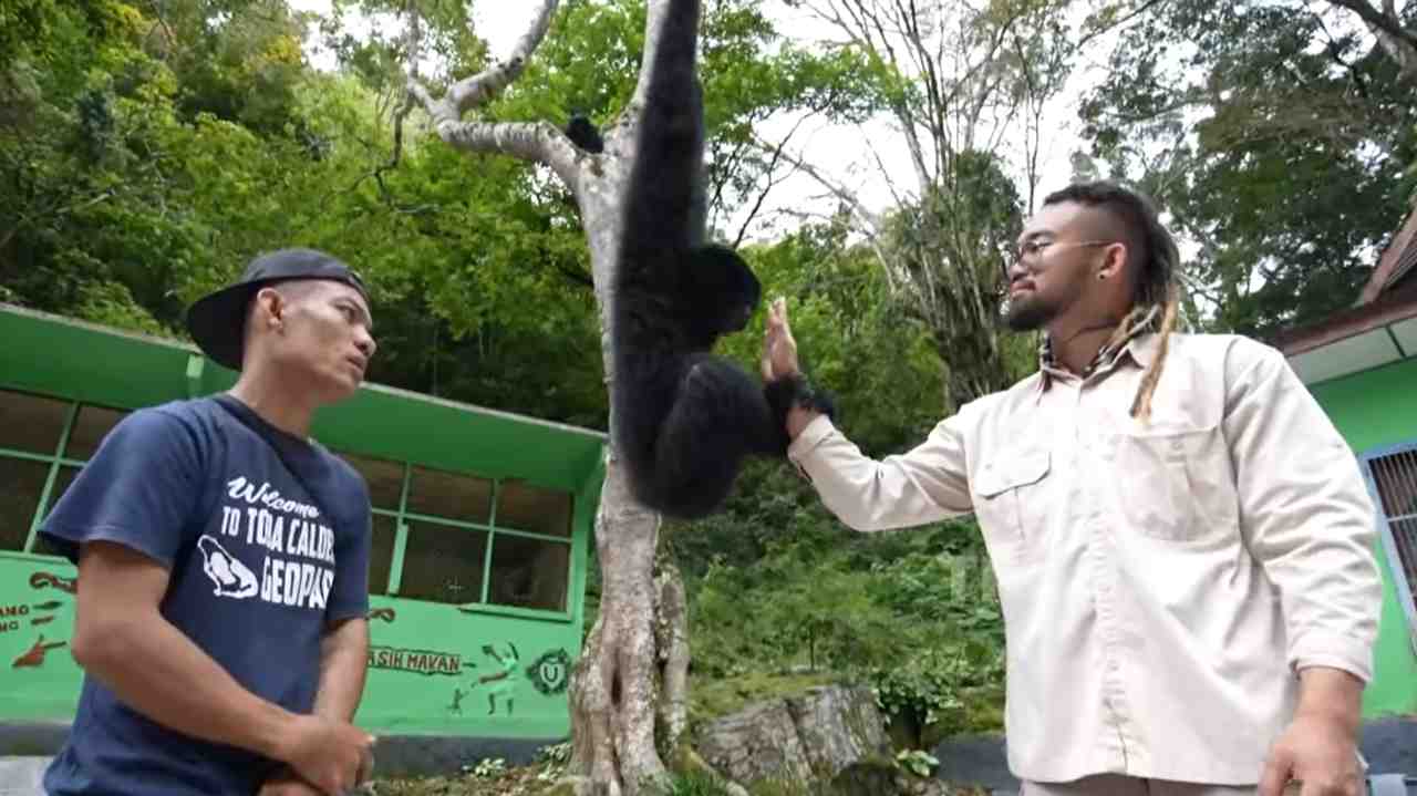 Beruk Asli Sumatera Wajib Dilestarikan Keberadaannya - WisataLiburan.id