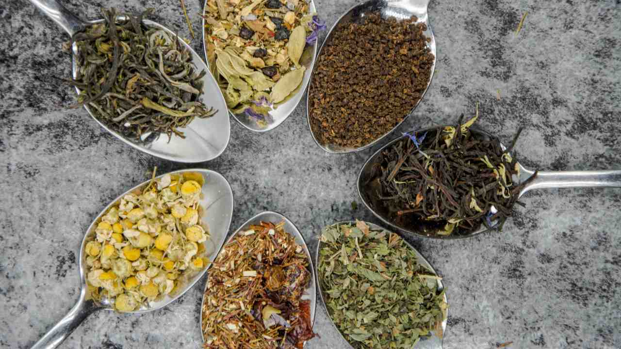 Jenis Jenis Teh Ternyata Banyak Dan Punya Khasiat Berbeda ...